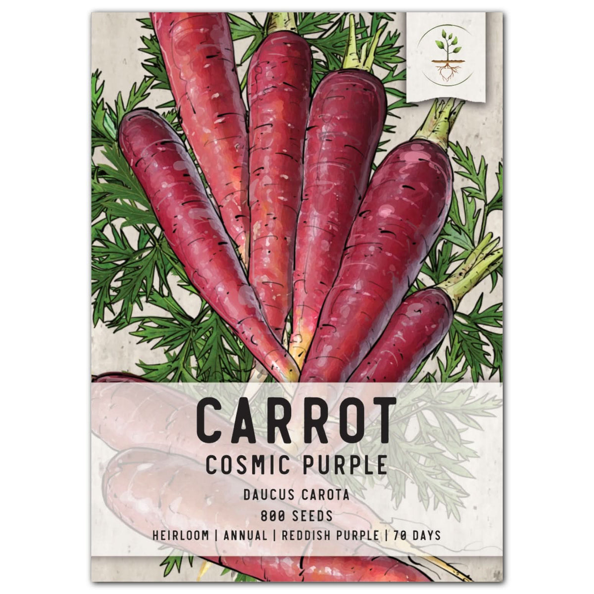 Edible Roots & Bulbs Collection - Seed Needs – Seed Needs LLC