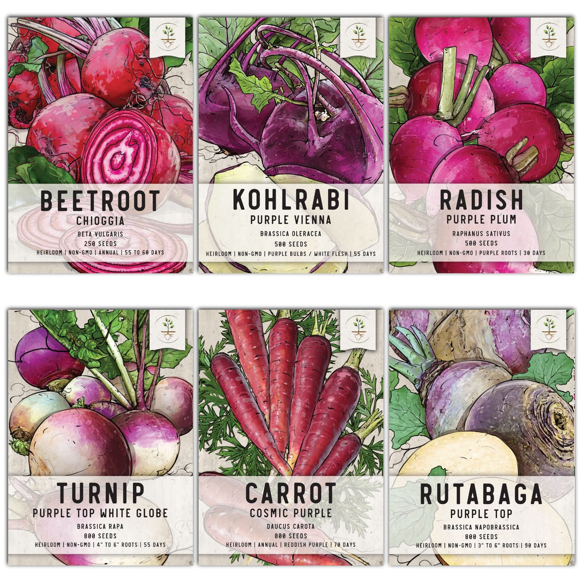 Edible Roots & Bulbs Collection - Seed Needs – Seed Needs LLC