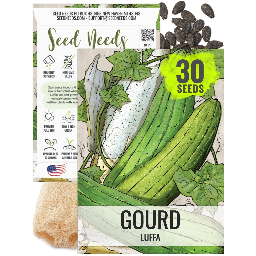 Luffa Gourd Seeds For Planting (Luffa aegyptiaca) - Seed Needs – Seed ...