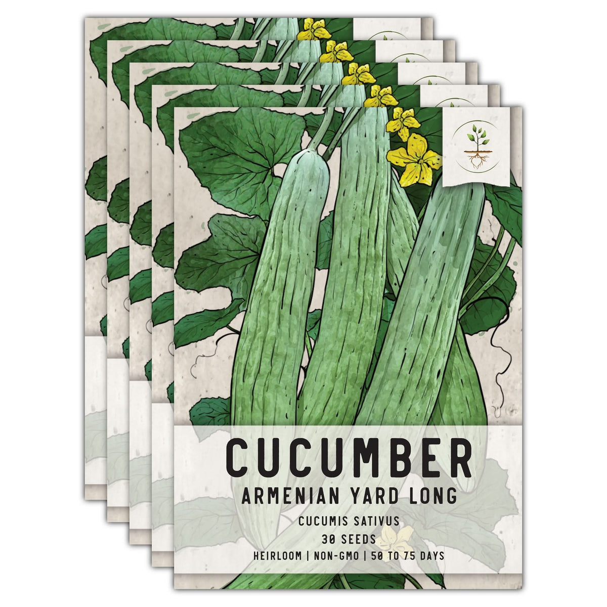 Armenian Yard Long Cucumber Seeds (Cucumis sativa) - Seed Needs – Seed ...