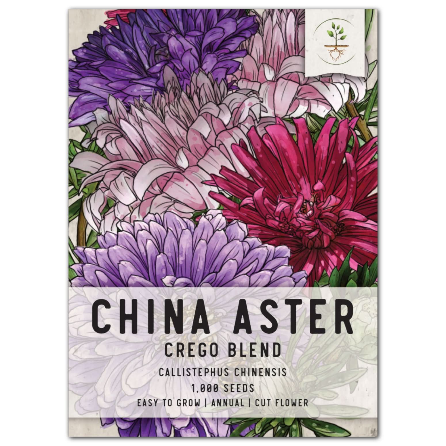 Aster Seeds For Planting (Excellent Cut Flowers) - Seed Needs – Seed ...