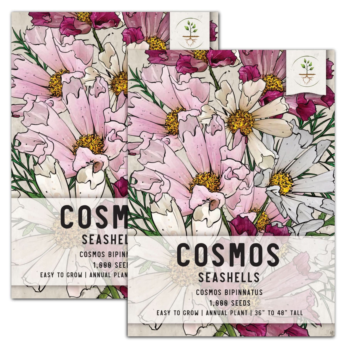 Seashells Cosmos Seeds For Planting (Cosmos bipinnatus) Seed Needs ...