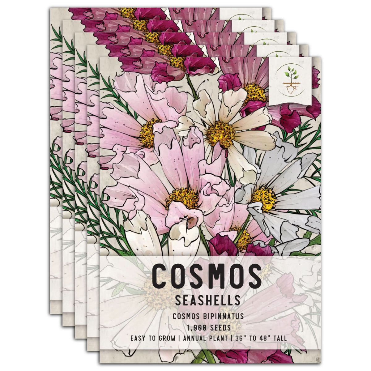 Seashells Cosmos Seeds For Planting (Cosmos bipinnatus) Seed Needs ...