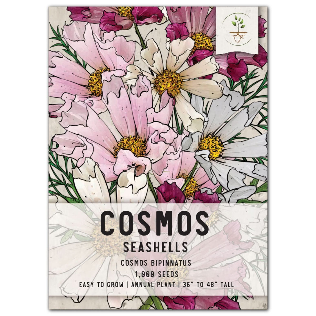 Seashells Cosmos Seeds For Planting (Cosmos bipinnatus) Seed Needs ...