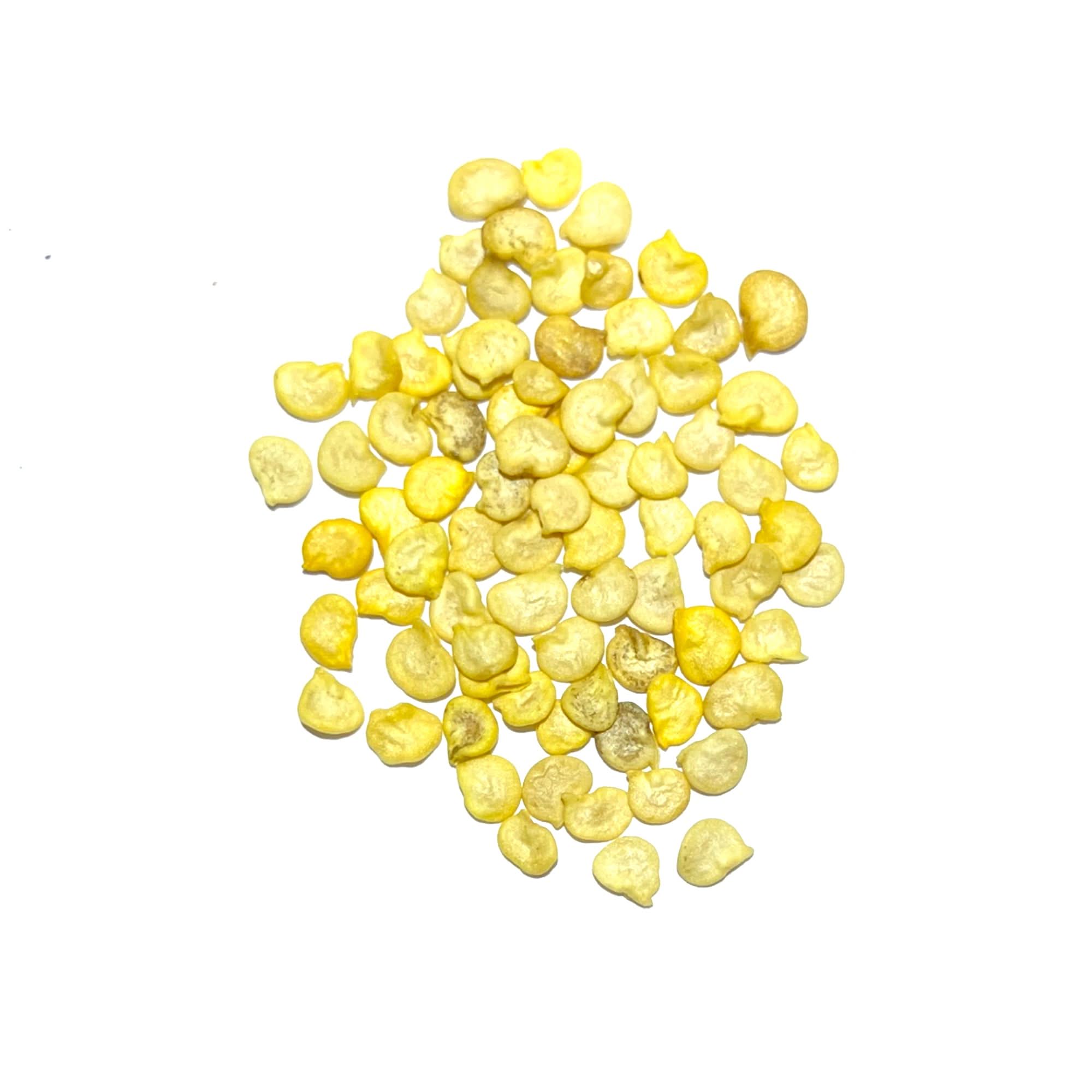 Anaheim Chili Pepper Seeds For Planting (Capsicum annuum) Seed Needs – Seed Needs LLC