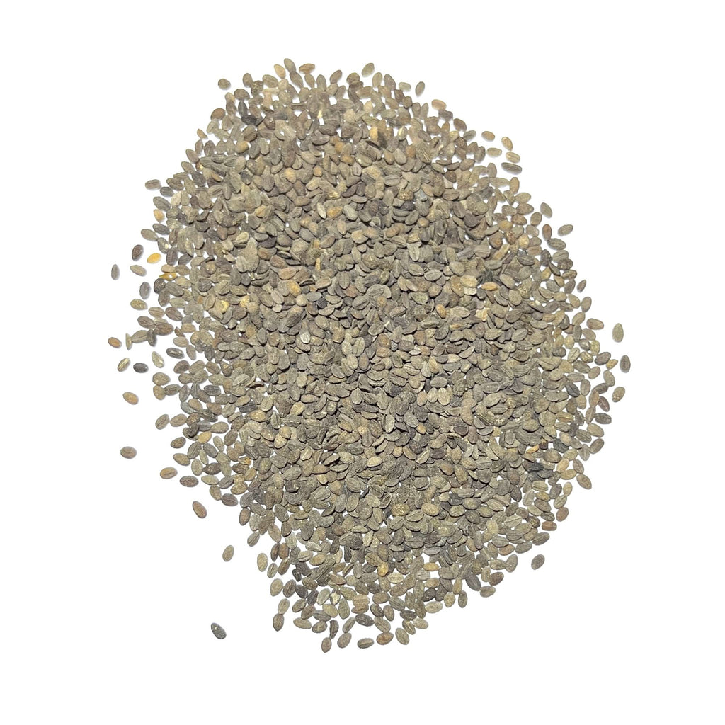 The Art of Phlox: Cultivating Color from Seed – Seed Needs LLC