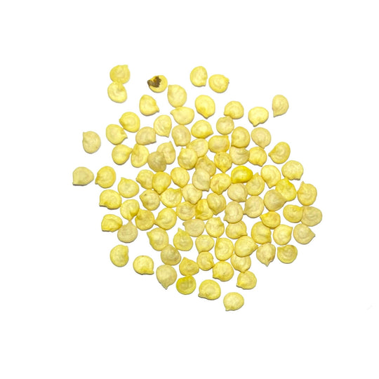 Mini Yellow Bell Pepper Seeds For Planting - Seed Needs – Seed Needs LLC