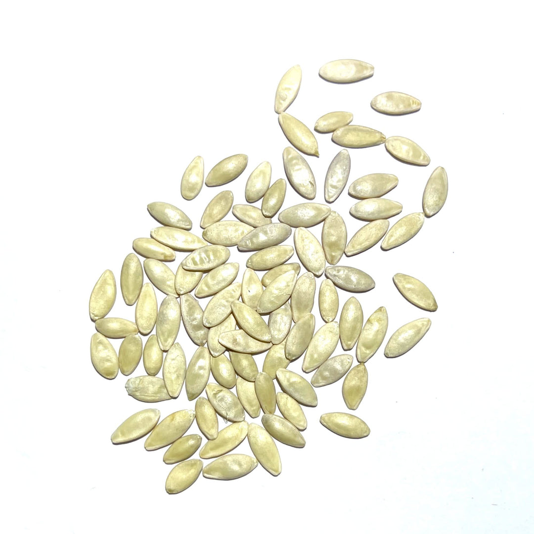 Spacemaster 80 Cucumber Seeds For Planting (Cucumis sativus) – Seed ...