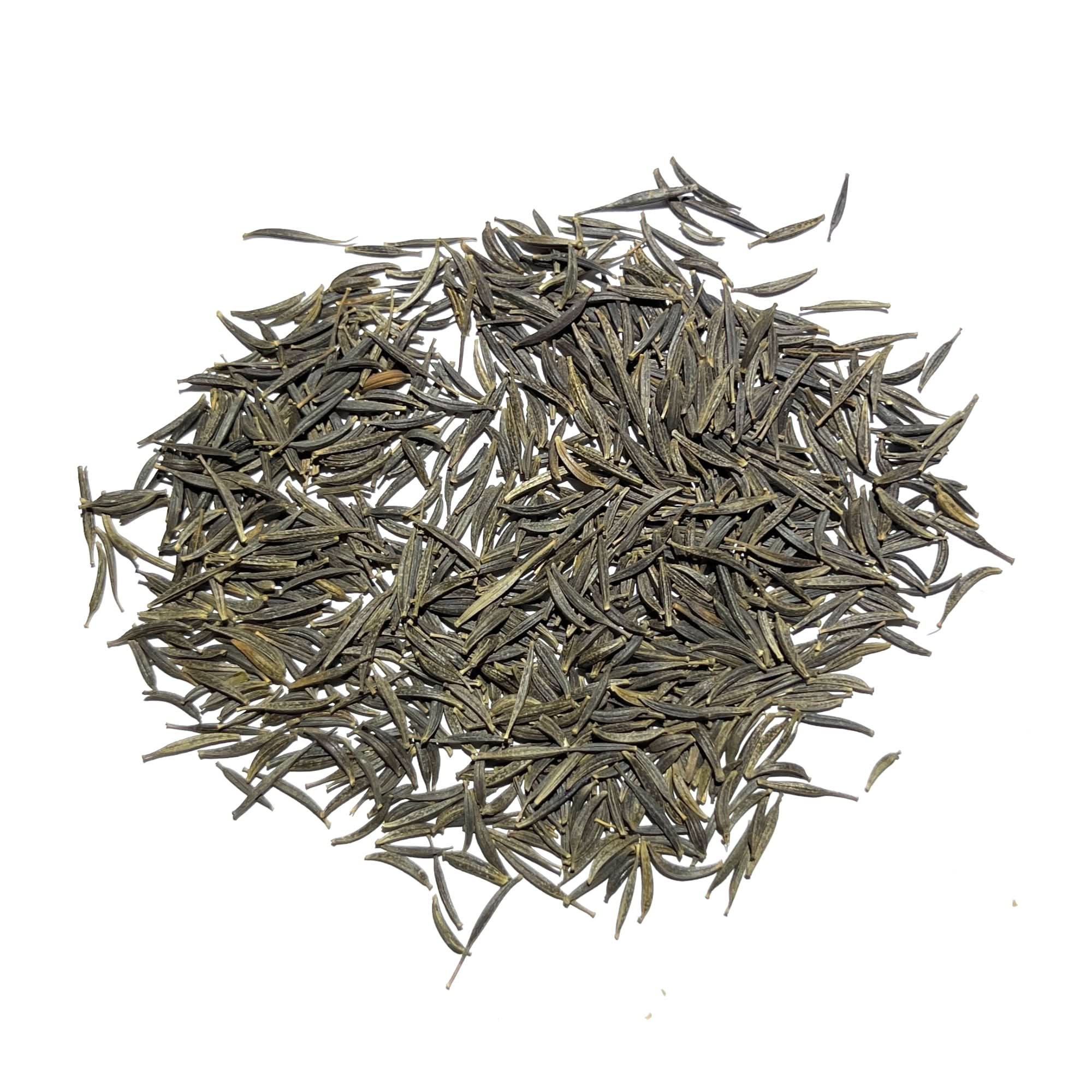 Gloria Cosmos Seeds For Planting (Cosmos bipinnatus) Seed Needs – Seed ...