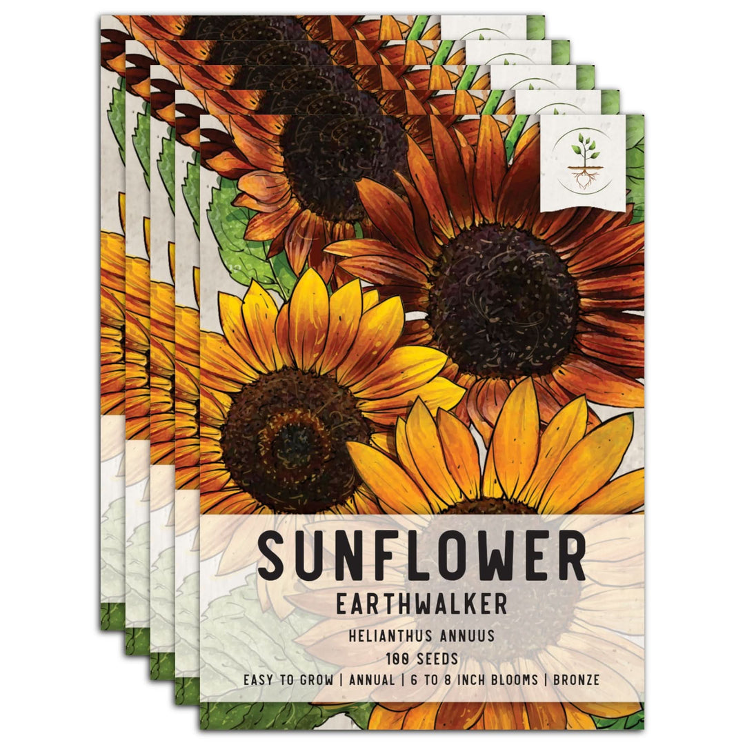Earthwalker Sunflower Seeds For Planting (Helianthus annuus) – Seed ...
