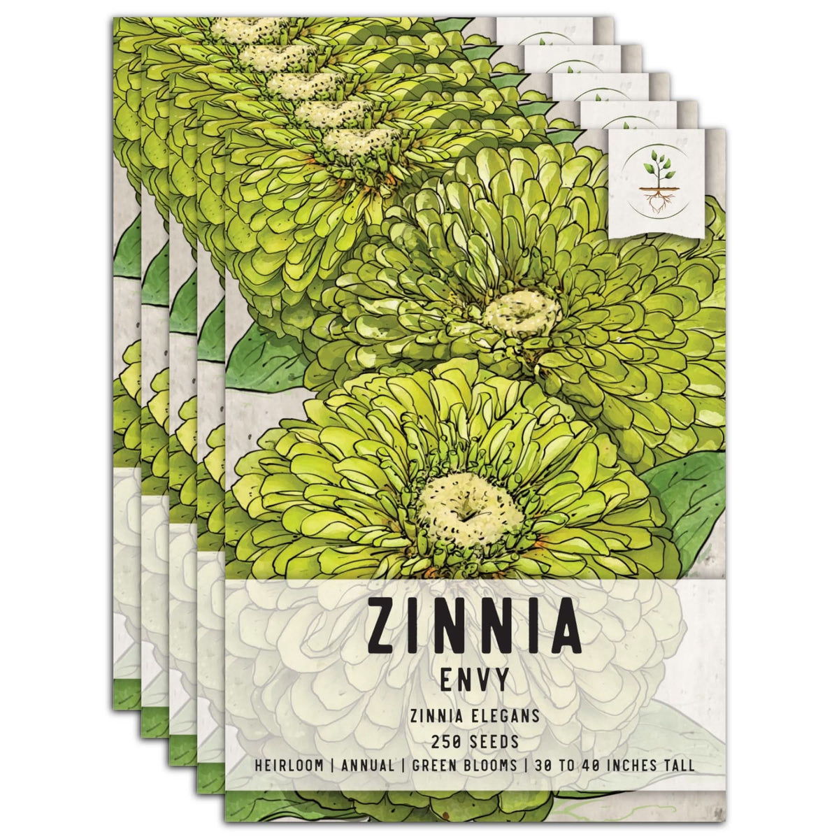 Envy Zinnia Seeds For Planting (Zinnia elegans) Seed Needs – Seed Needs LLC
