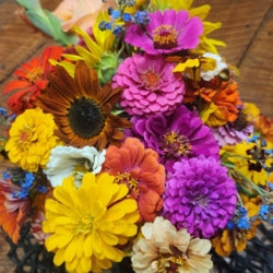 2024 About Us – Seed Needs LLC