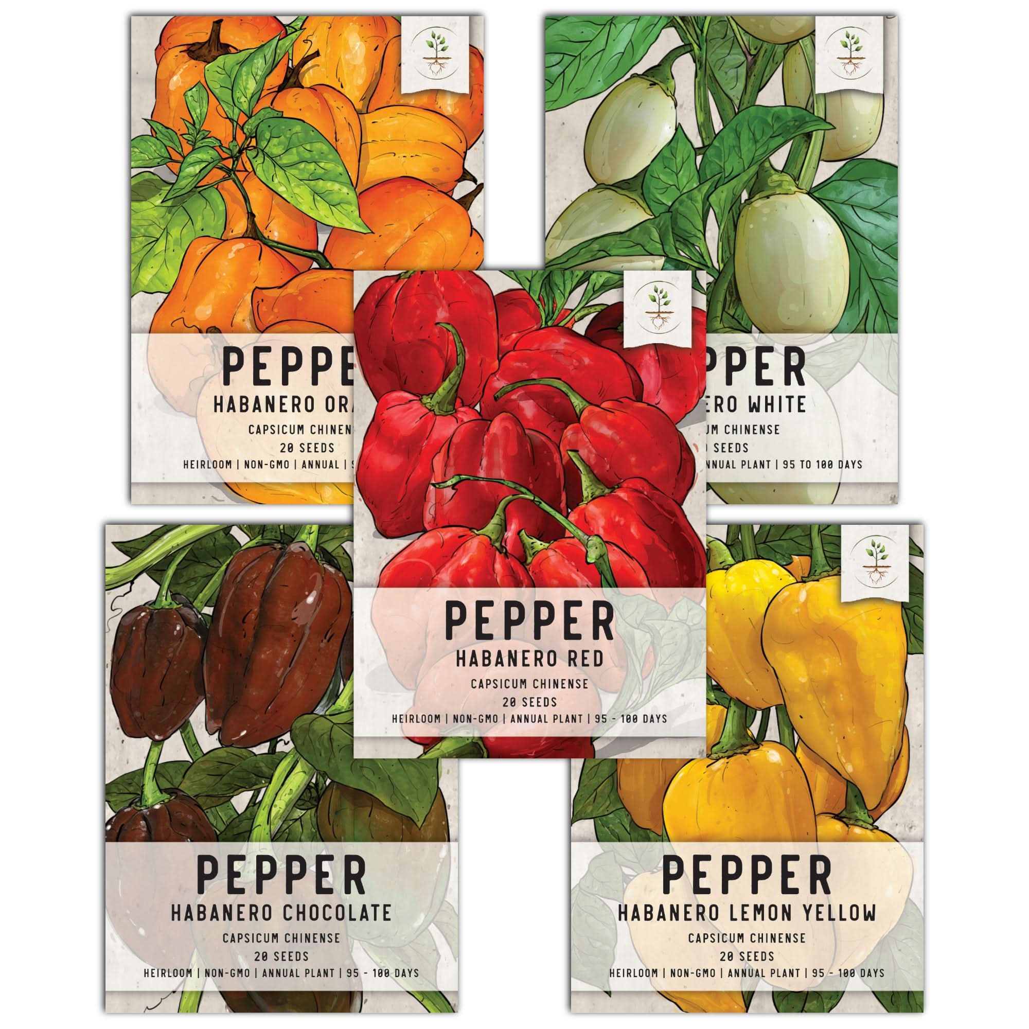 Seed Packet Collections & Seed Assortments - Seed Needs – Seed Needs LLC