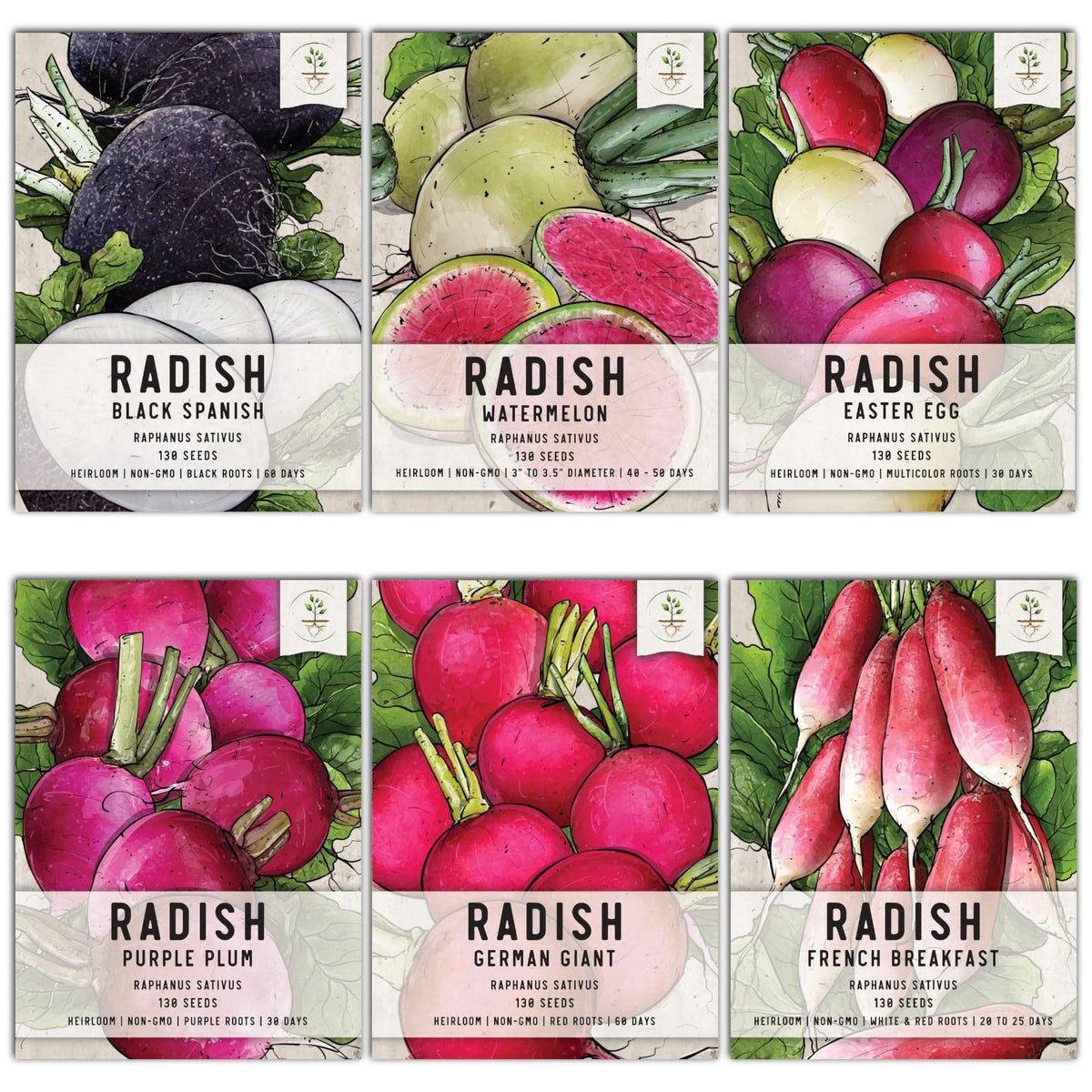 Radish Seed Collection – Seed Needs LLC