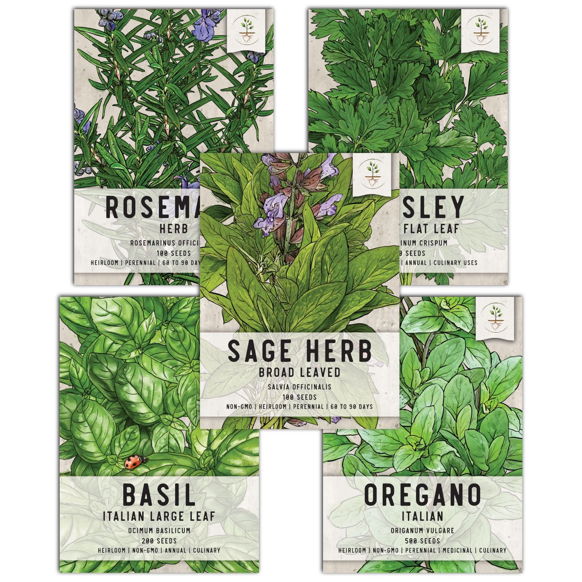 Italian Culinary Herb Collection (5 Herb Seed Packets) - Seed Needs ...