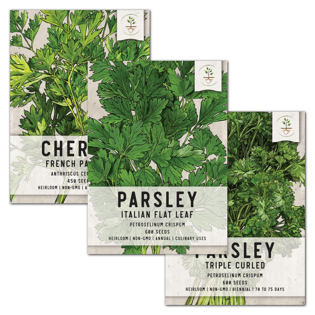 Parsley Seed Collection - 3 Individual Seed Packets - Seed Needs – Seed ...