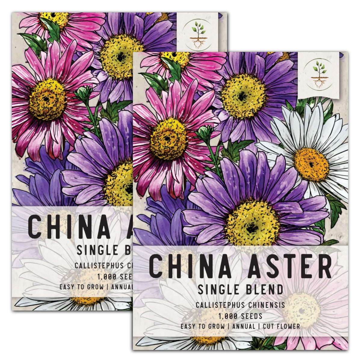 China Aster Seeds, Single Blend (Callistephus chinensis) - Seed Needs ...