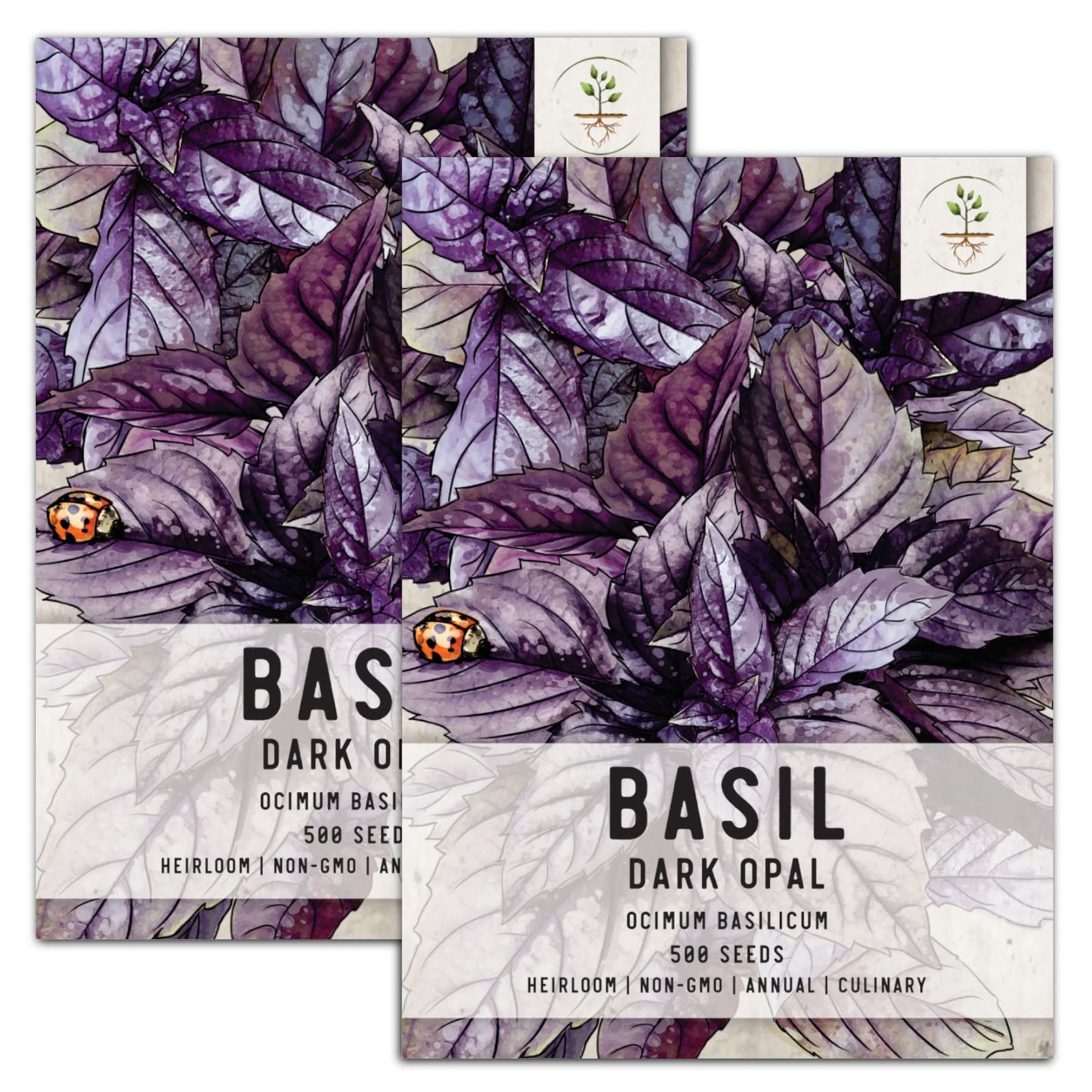 Dark Opal Basil Seeds For Planting (Ocimum basilicum) – Seed Needs LLC