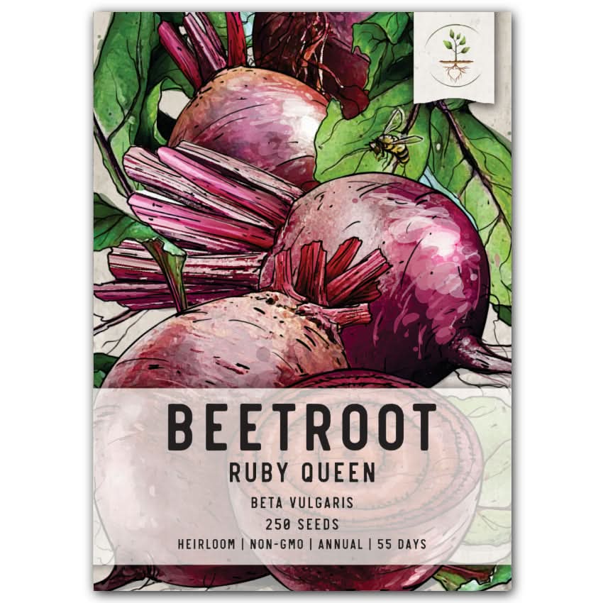 Beets – Seed Needs LLC