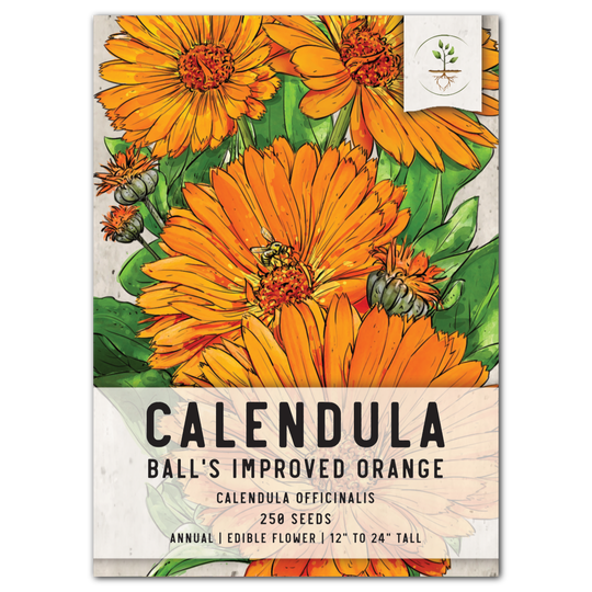 Calendula Seeds For Planting (Calendula officinalis) - Seed Needs ...