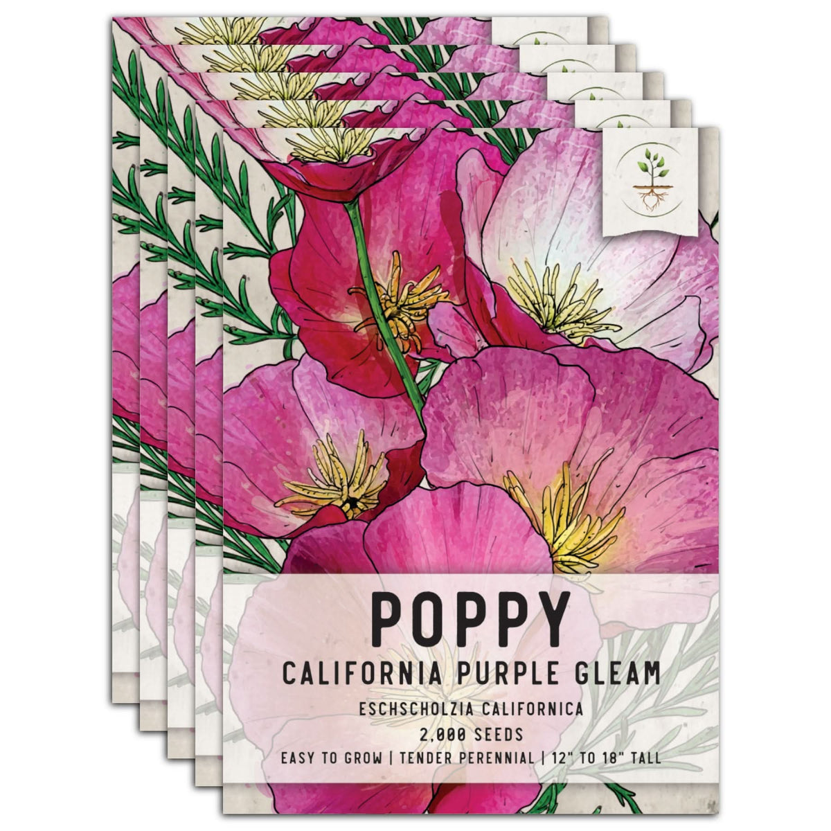 Purple Gleam California Poppy Seeds For Planting (Eschscholzia califor ...