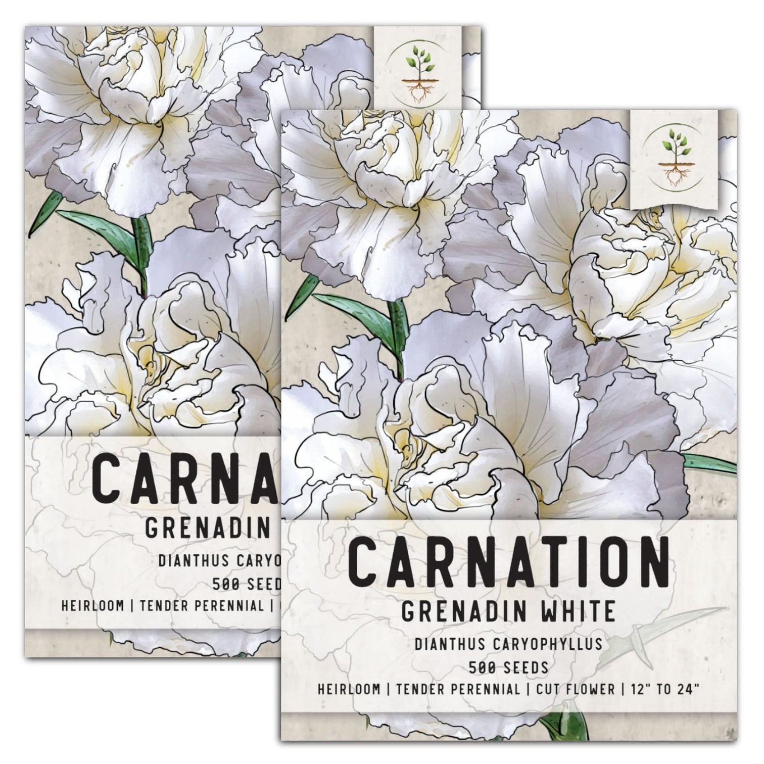Grenadin White Carnation Seeds (Dianthus caryophyllus) - Seed Needs ...
