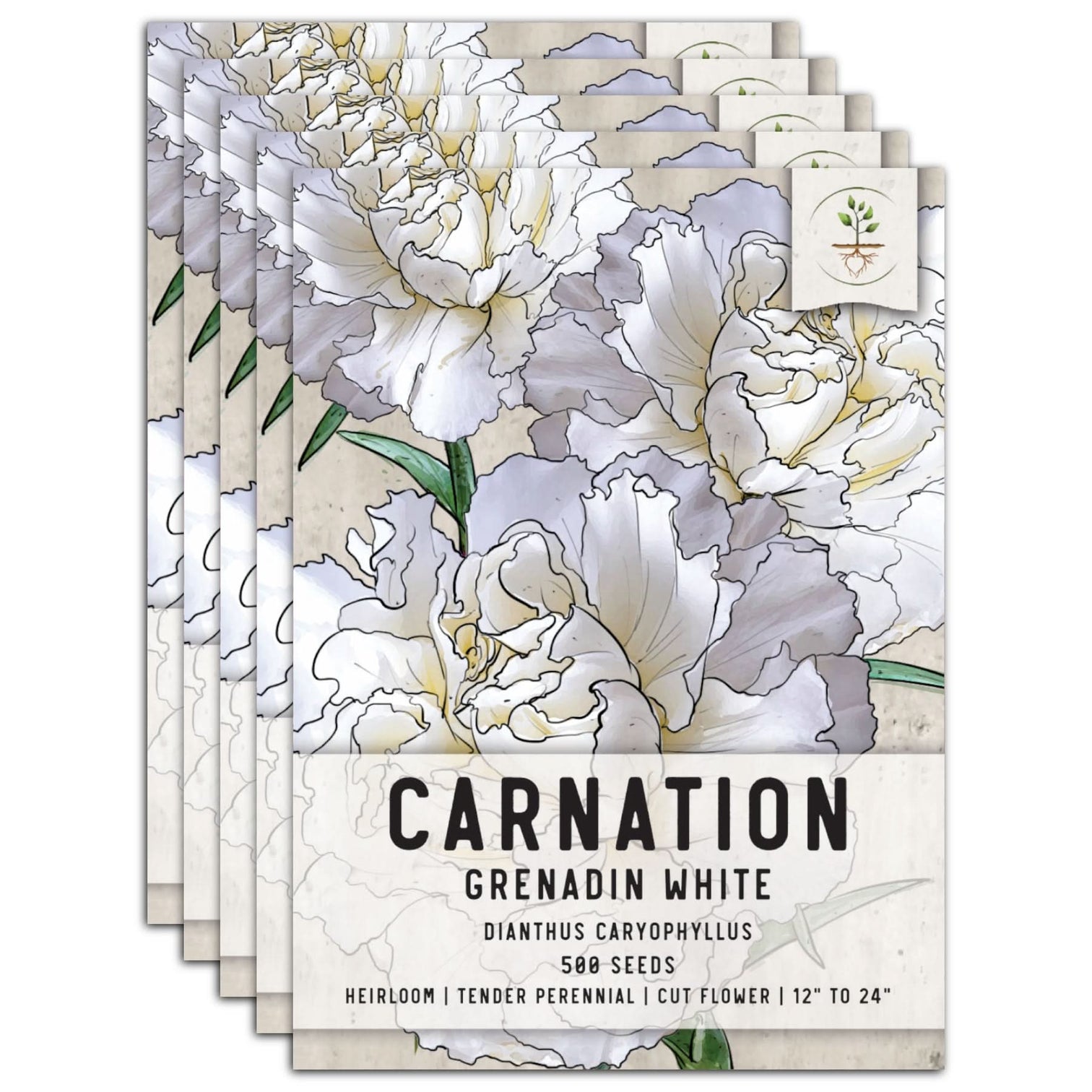 Grenadin White Carnation Seeds (Dianthus caryophyllus) - Seed Needs ...