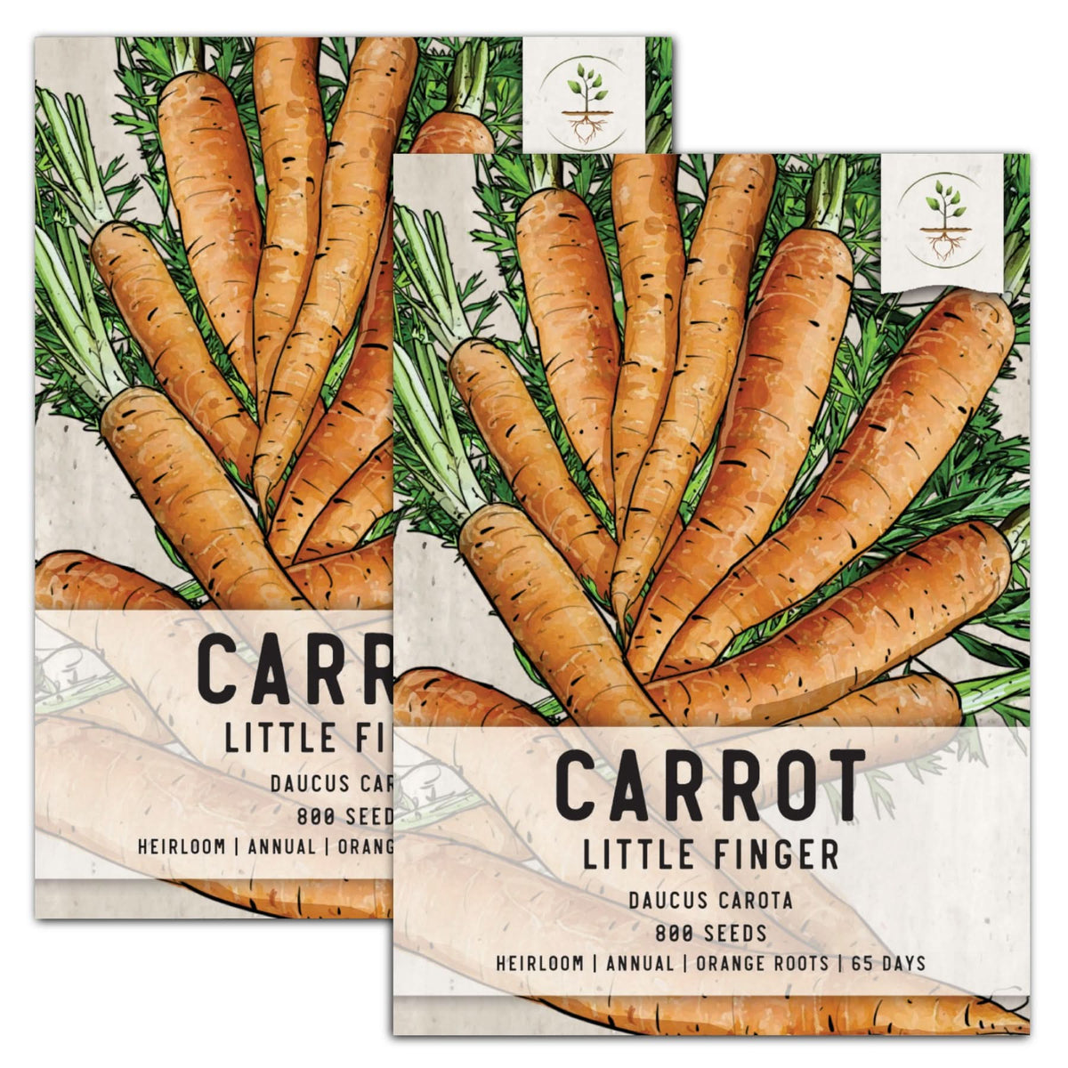 Little Finger Carrot Seeds For Planting (Daucus carota) – Seed Needs LLC