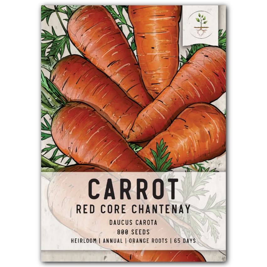 Carrots – Seed Needs LLC