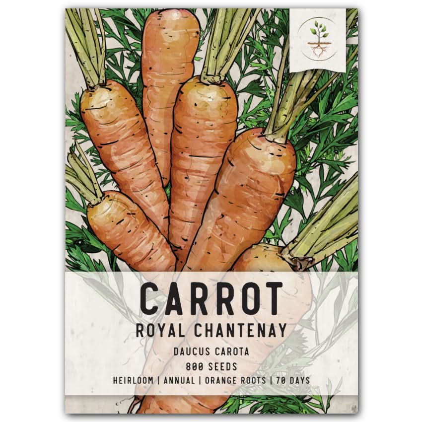 Carrots – Seed Needs LLC