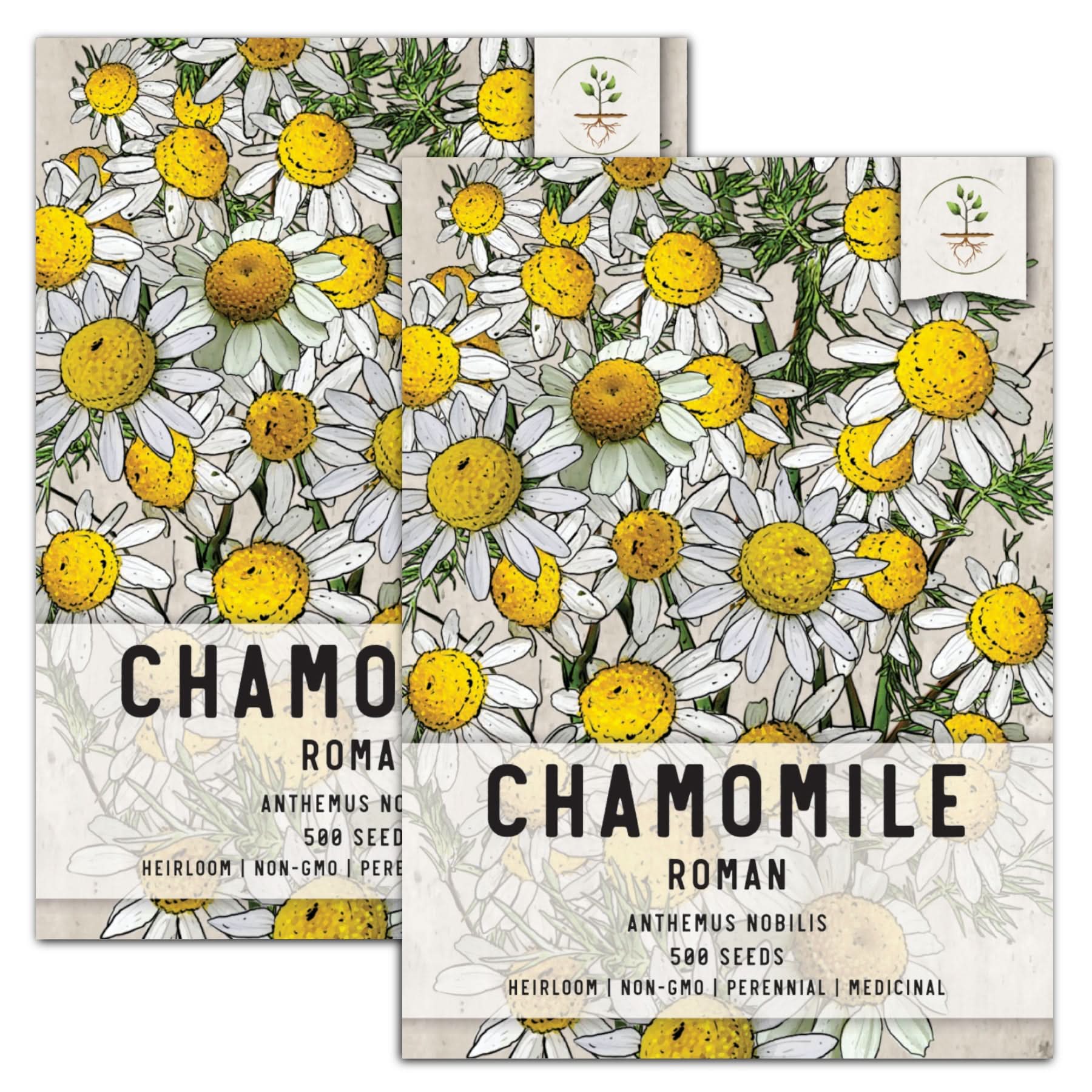 Roman Chamomile Herb Seeds For Planting (Anthemus nobilis) – Seed Needs LLC