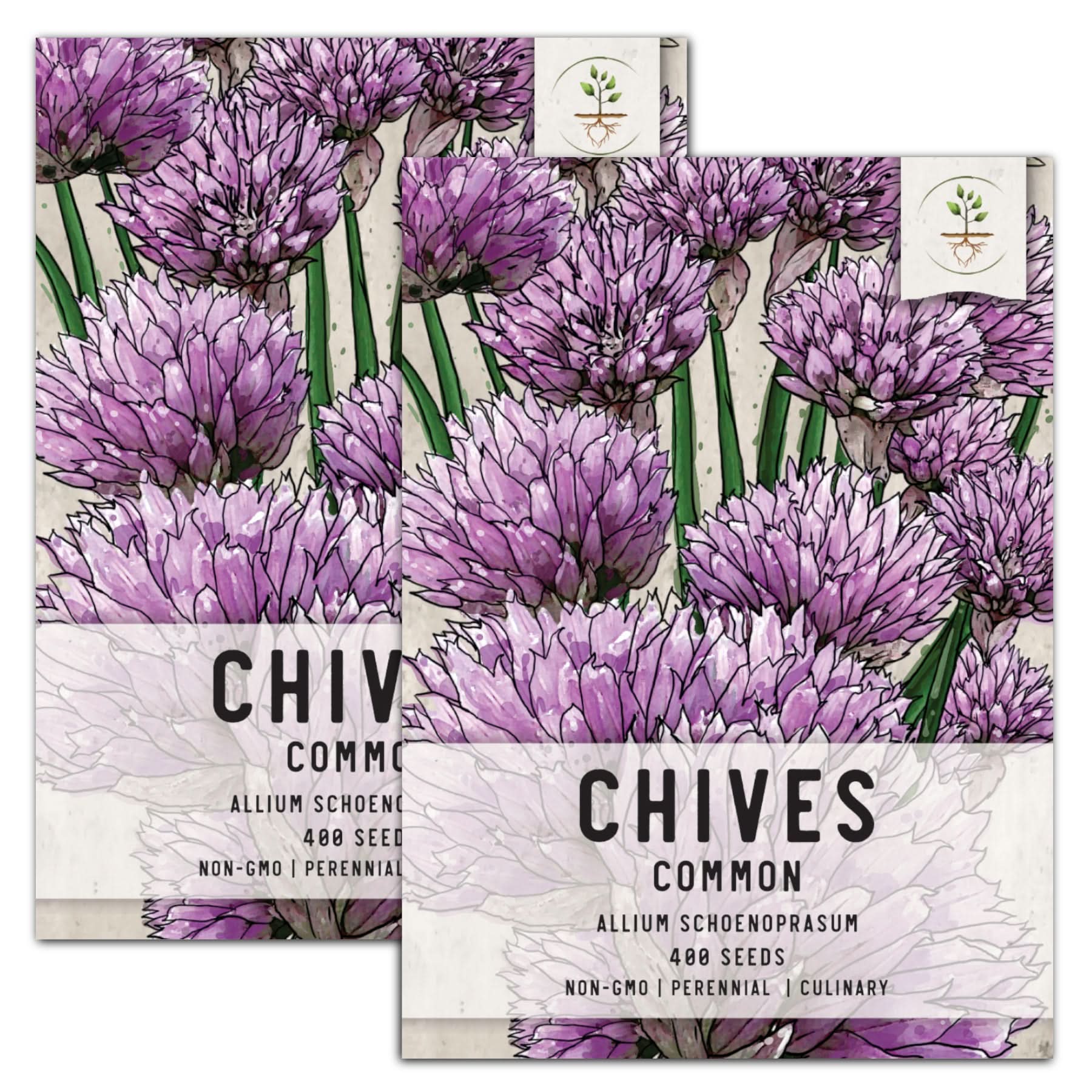 Common Chives Herb Seeds For Planting (Allium schoenoprasum) – Seed ...