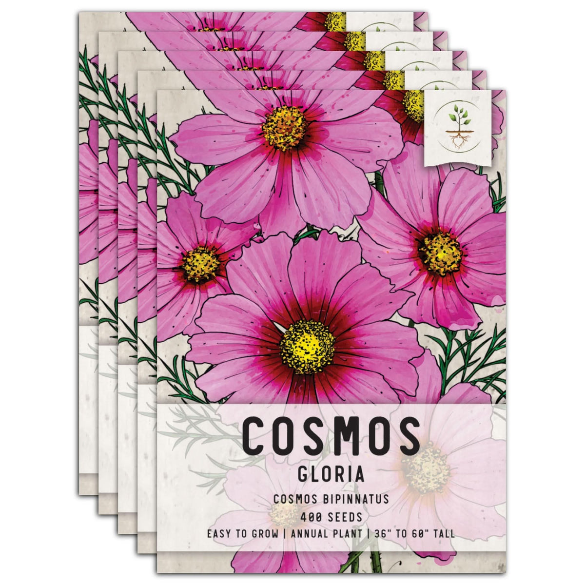 Gloria Cosmos Seeds For Planting (Cosmos bipinnatus) Seed Needs – Seed ...