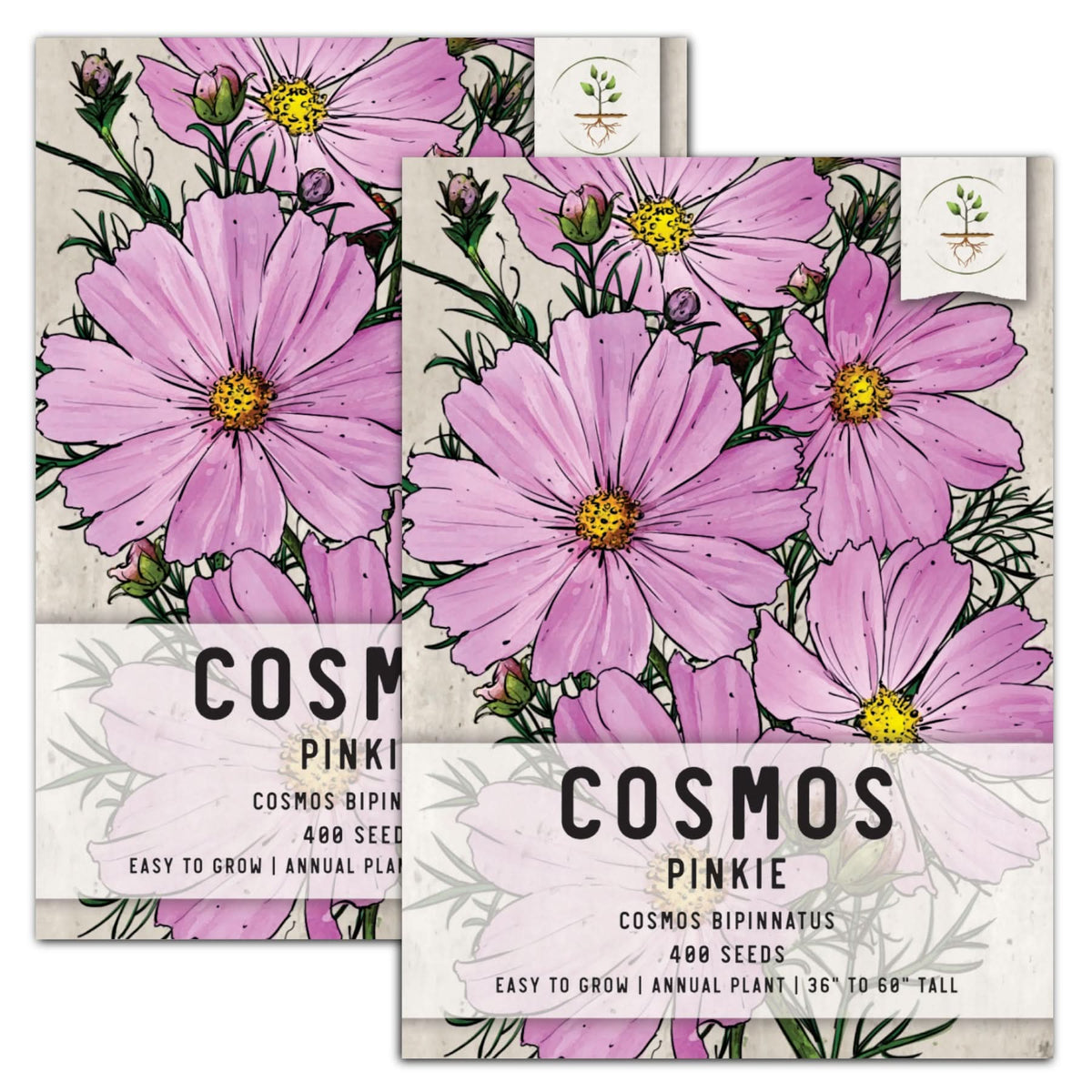 Pinkie Cosmos Seeds For Planting (Cosmos bipinnatus) – Seed Needs LLC