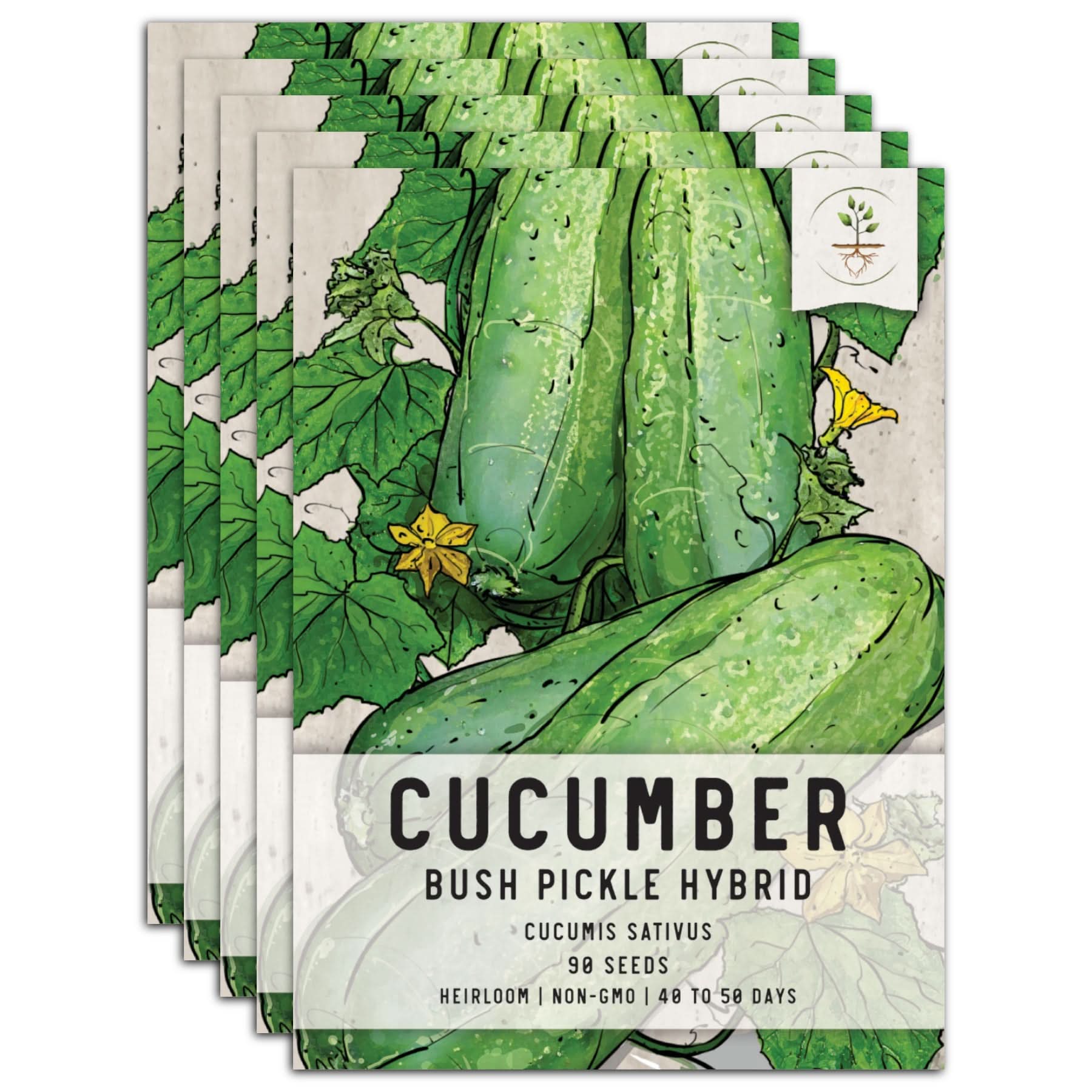 Bush Pickle Cucumber Seeds For Planting (Cucumis sativus) Seed Needs ...
