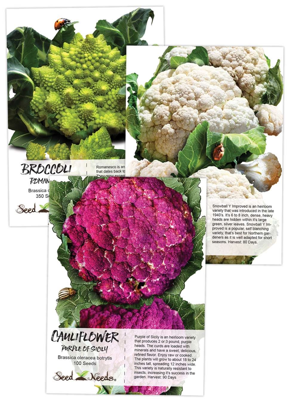 Cauliflower Seed Collection (3 Individual Packets) - Seed Needs – Seed ...