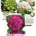 Cauliflower Seed Collection (3 Individual Packets) - Seed Needs – Seed ...