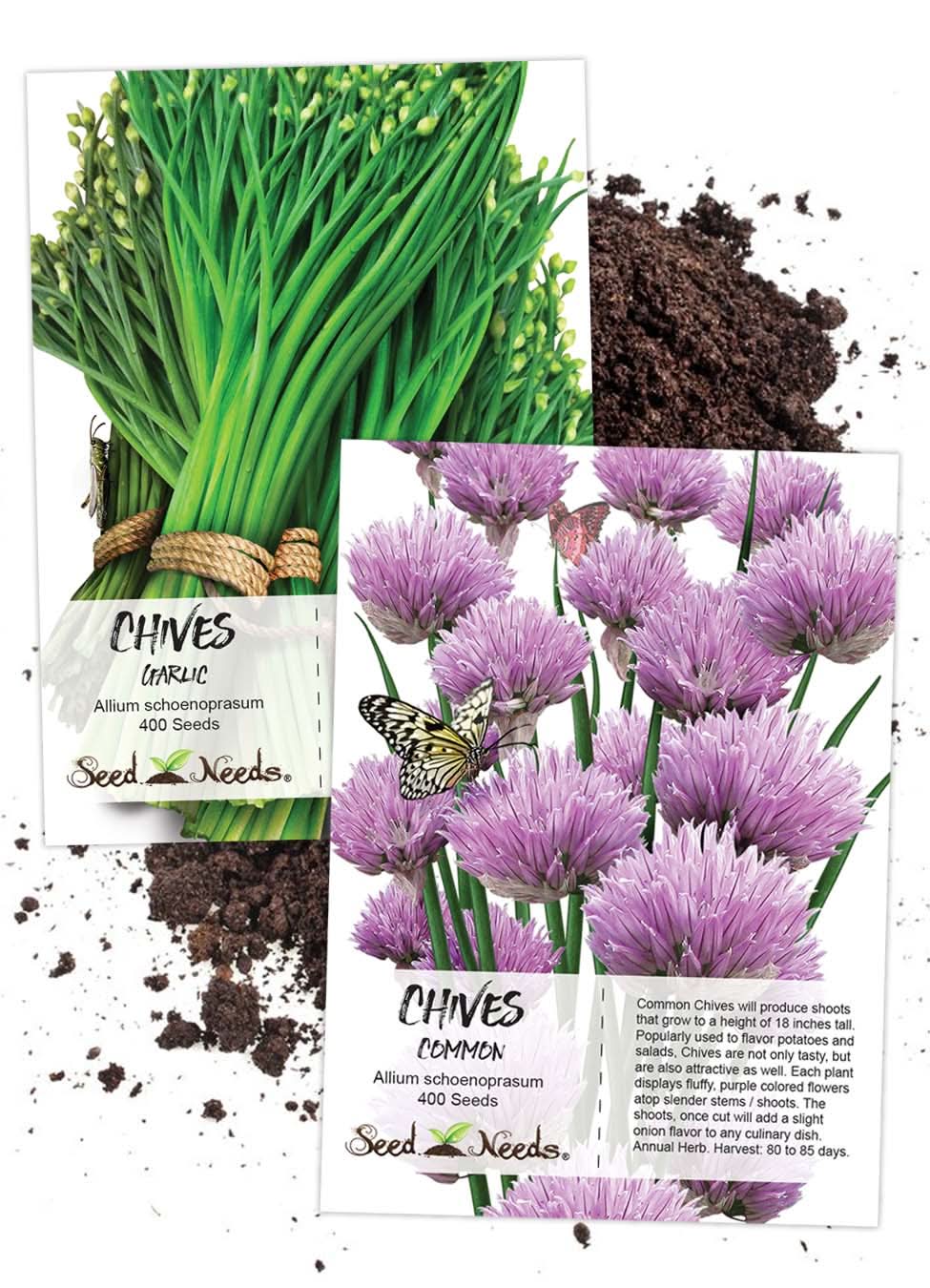 Chives Seed Packet Duo – Seed Needs LLC