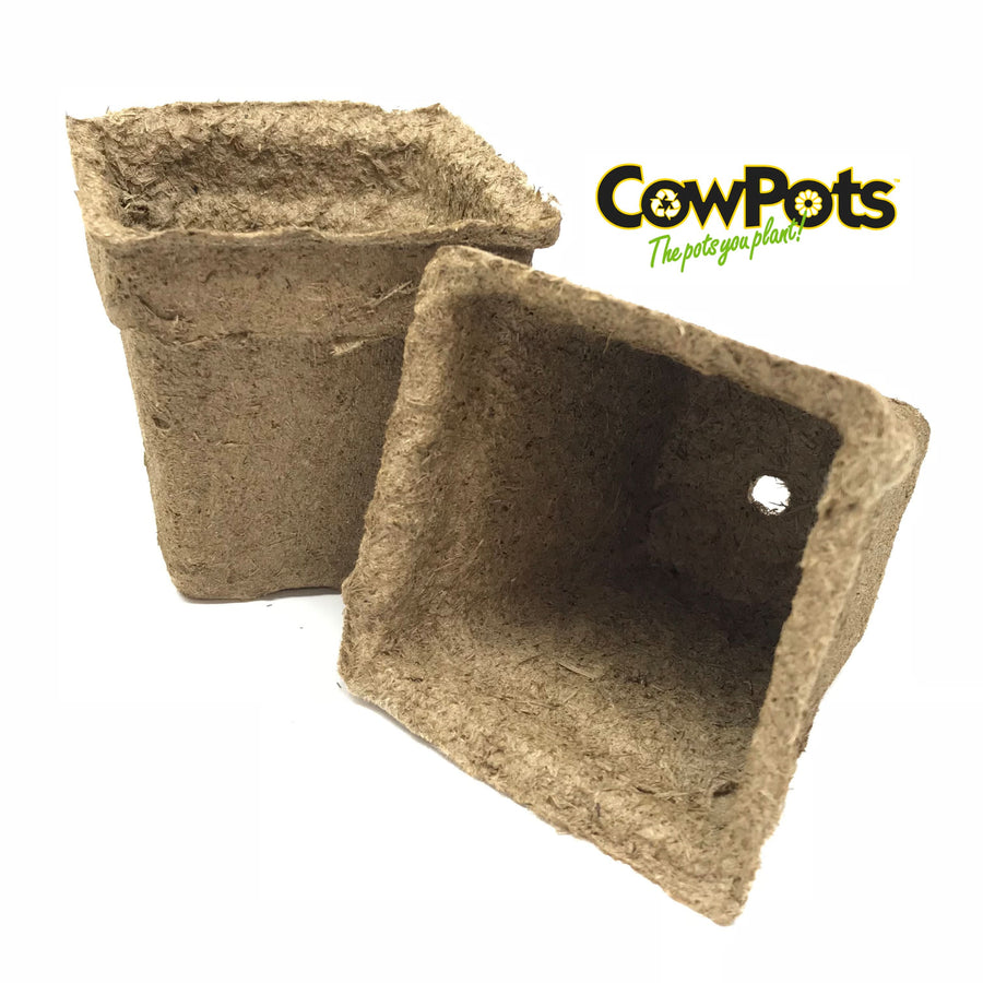 3" CowPots - Biodegradable Transplanting Starter Pots At Seed Needs ...
