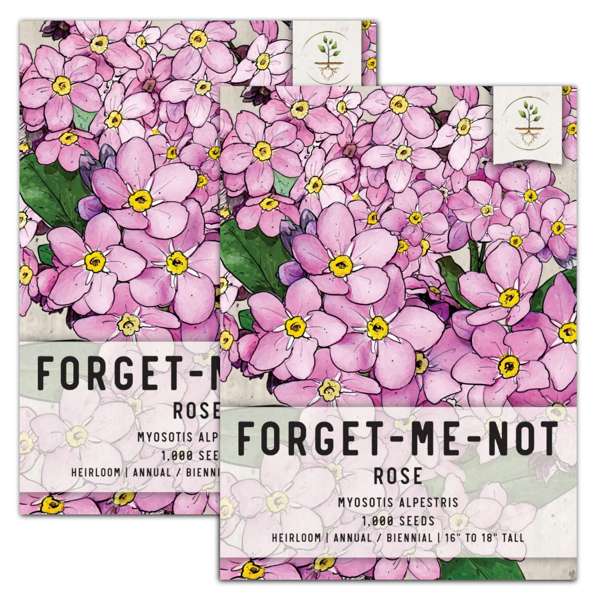 Rose Forget-Me-Not Seeds For Planting (Myosotis alpestris) Seed Needs ...