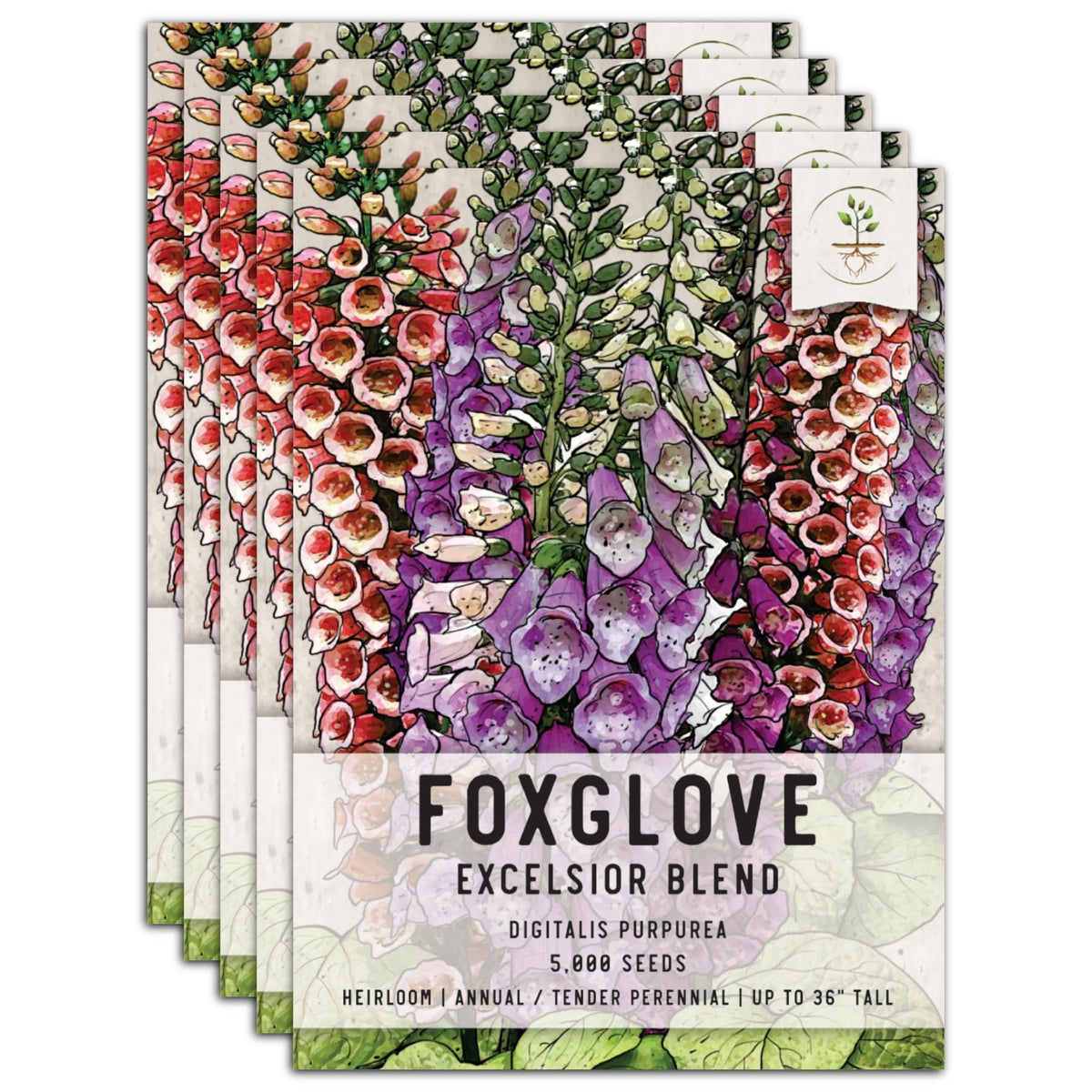 Excelsior Mixture Foxglove Seeds For Planting (Digitalis purpurea ...