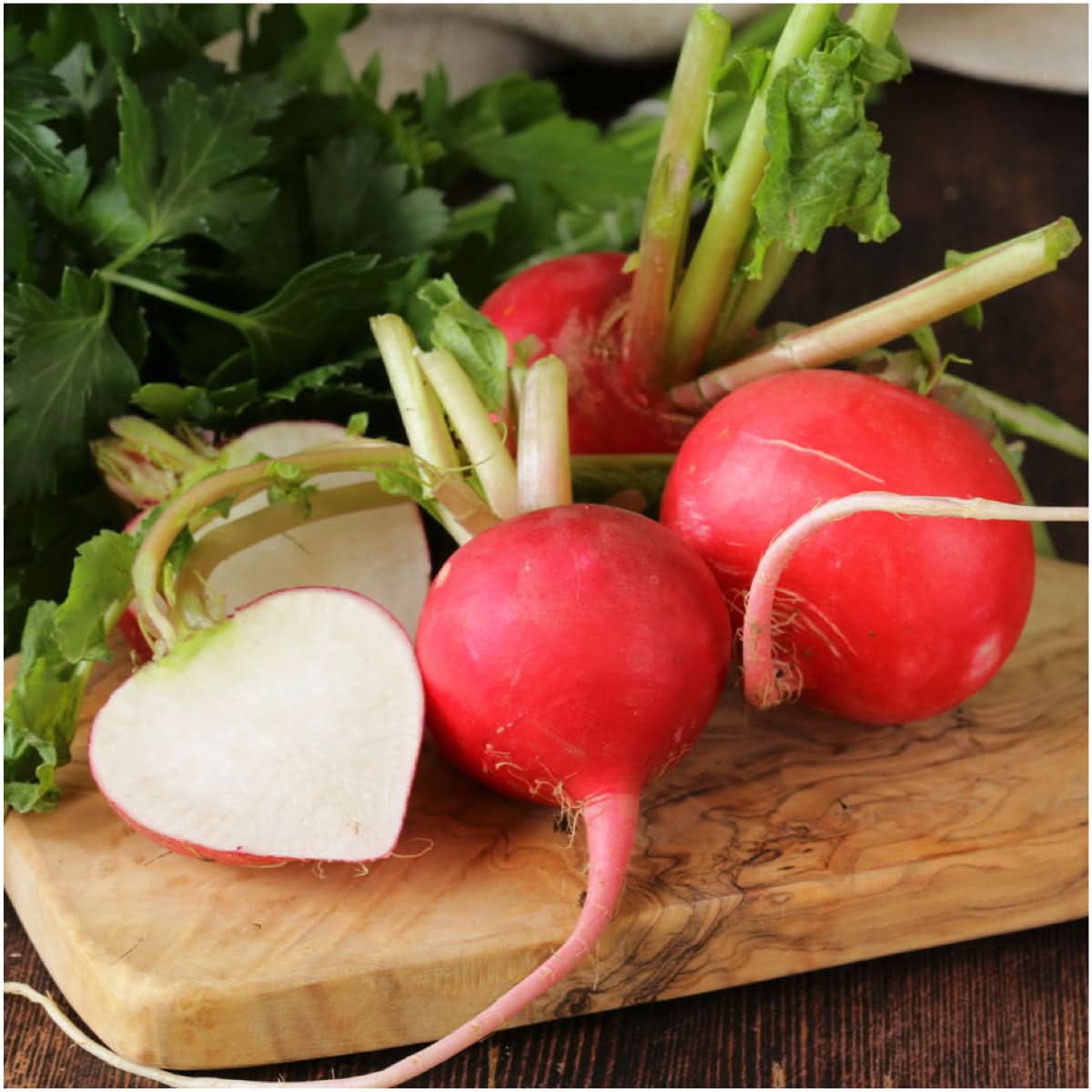 German Giant Radish Seeds For Planting (Raphanus sativus) Seed Needs ...