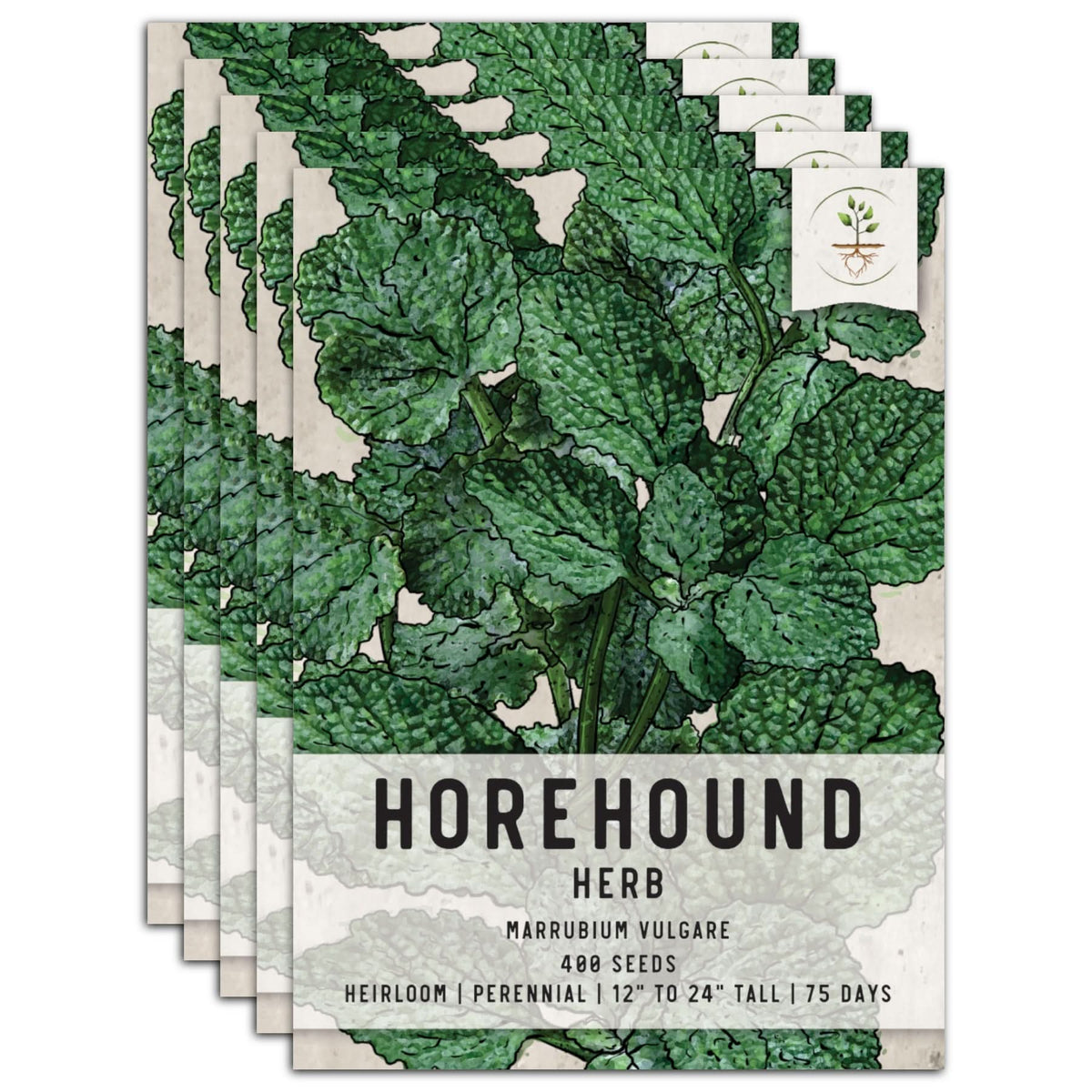 Horehound Herb Seeds For Planting (Marrubium vulgare) Seed Needs – Seed ...