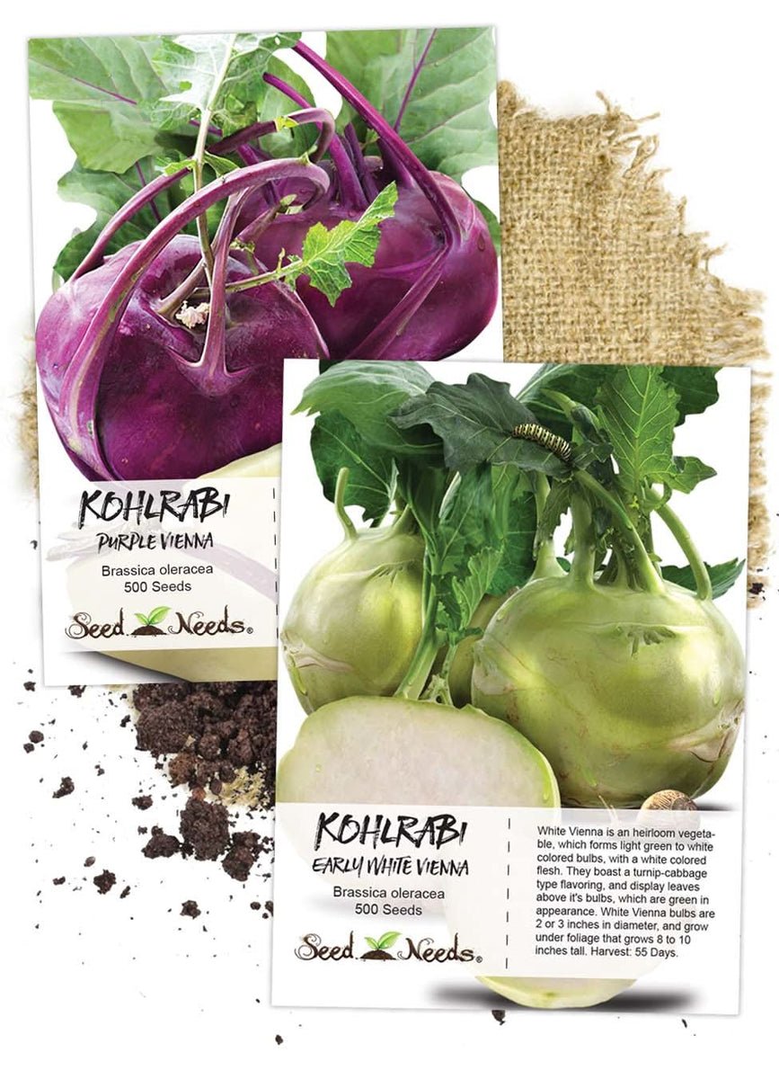 Kohlrabi Seed Packet Duo (2 Individual Packets) - Seed Needs – Seed ...