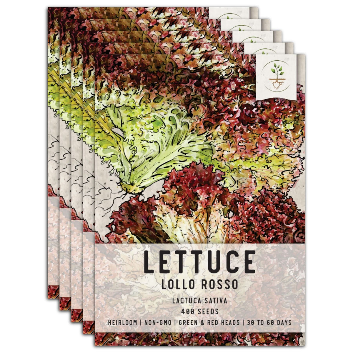 Lollo Rosso Lettuce Seeds For Planting (Lactuca sativa) Seed Needs ...