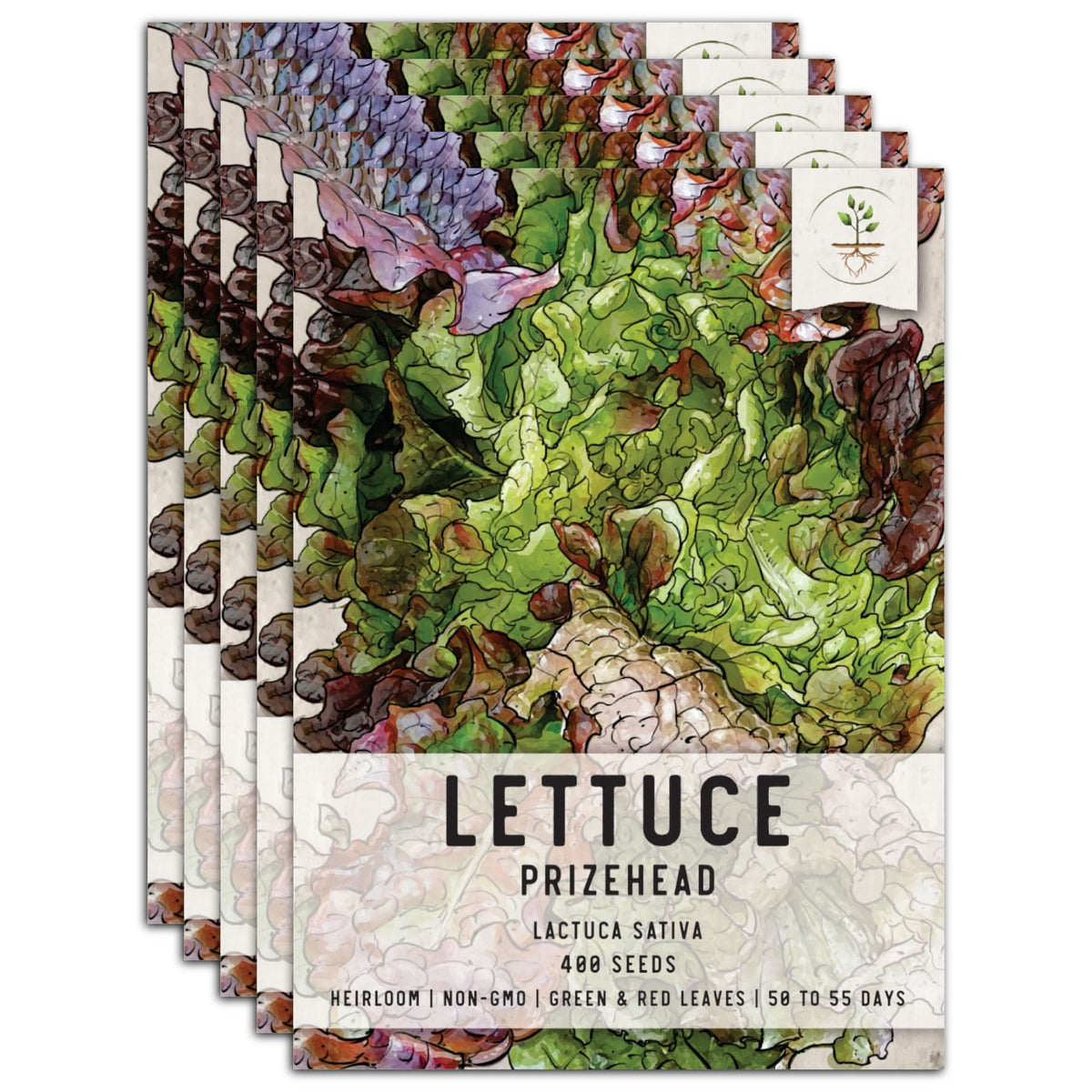 Prizehead Lettuce Seeds For Planting (Lactuca sativa) Seed Needs – Seed ...