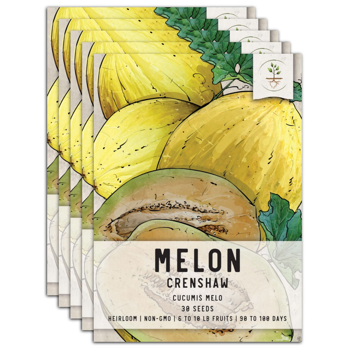 Crenshaw Melon Seeds For Planting (Cucumis melo) Seed Needs – Seed ...