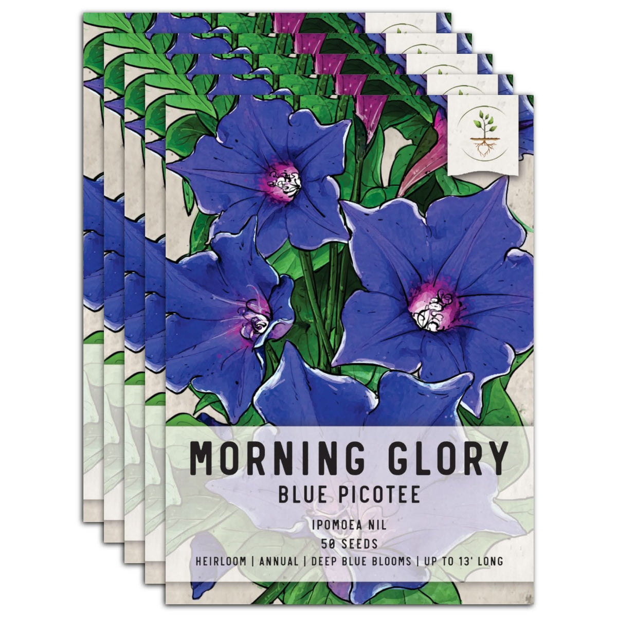 Blue Picotee Morning Glory Seeds For Planting (Ipomoea nil) – Seed ...