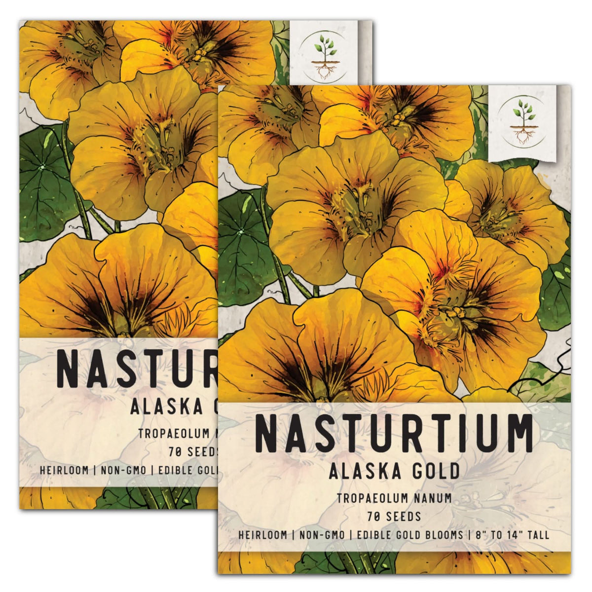 Alaska Gold Dwarf Nasturtium Seeds for Planting (Tropaeolum nanum ...