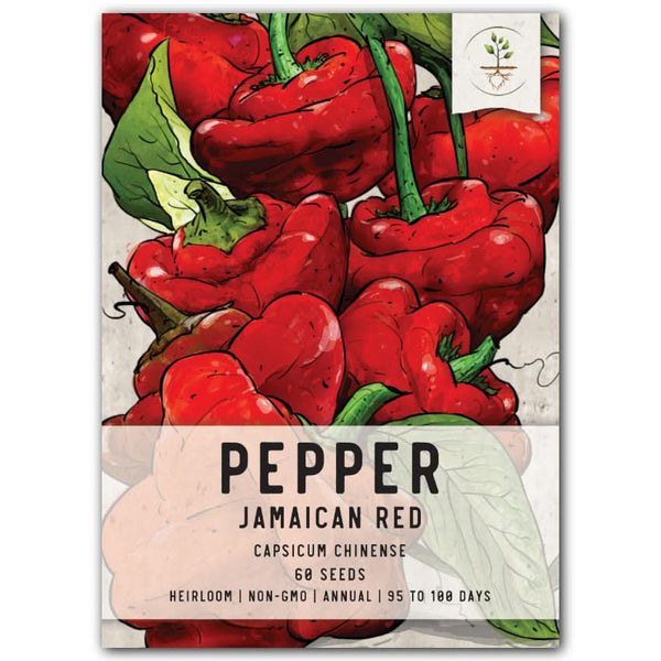Jamaican Red
